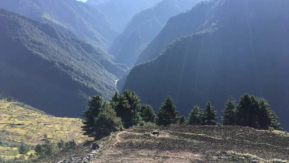 ४५० मेगावाटको किमाथाङ्का अरुण निर्माण हुने, वातावरणीय प्रभाव मूल्याङ्कन ...