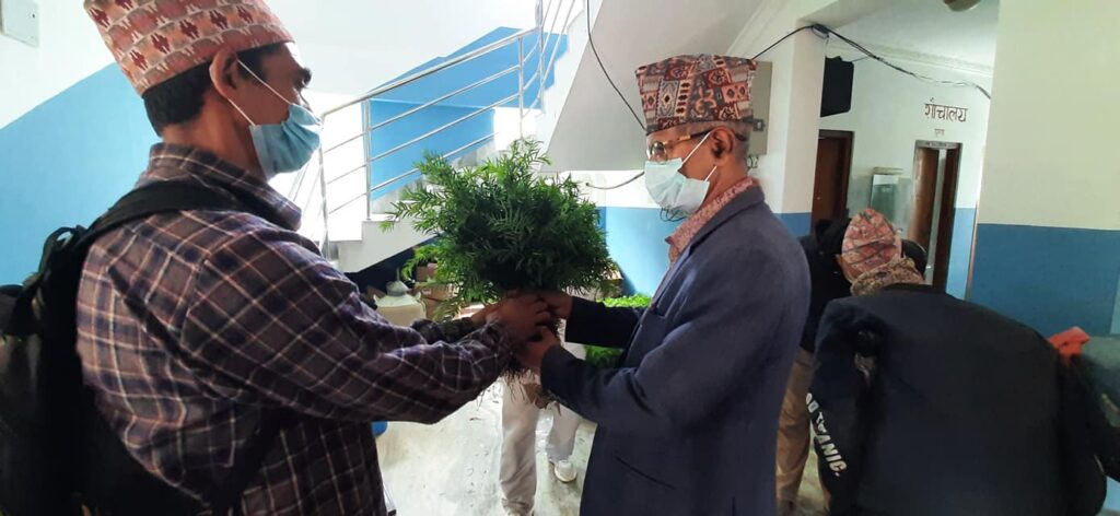 लौठ सल्लाका बिरुवा वितरण – Arthik Awaj