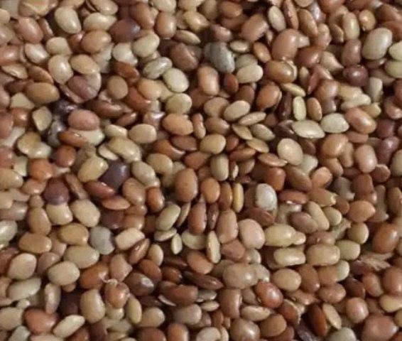 गहत खेती प्रवद्र्धन कार्यक्रम – Arthik Awaj